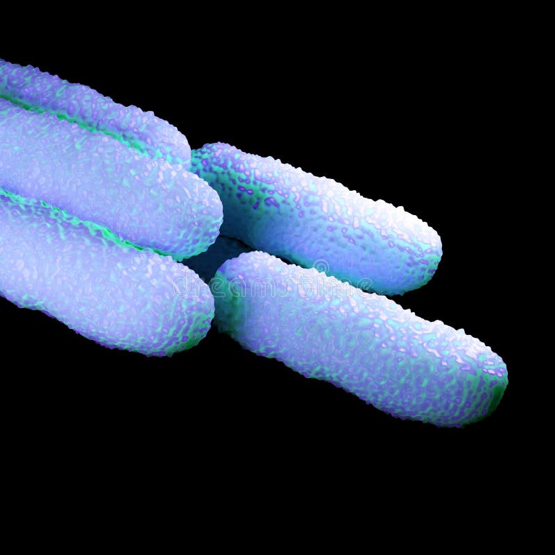 Listeria Bacteria, artwork stock illustration. Illustration of ...