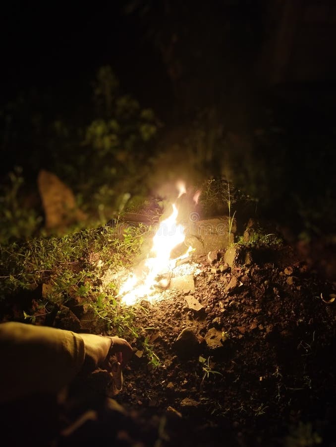 Lit a Fire at Night in the Middle of the Forest Stock Image - Image of ...