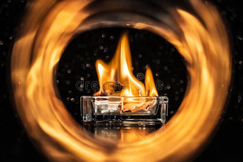 Life after the fire stock image. Image of growth, blackened - 105915