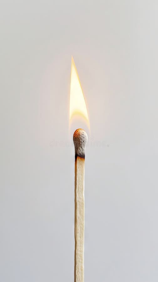 Lit Matchstick with White Background Concept of Fire Ignition Light ...