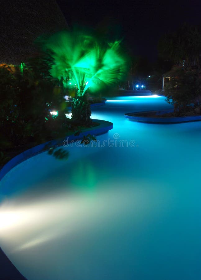 Lit Pool at Night with Palm Tree Stock Photo - Image of night, smooth ...