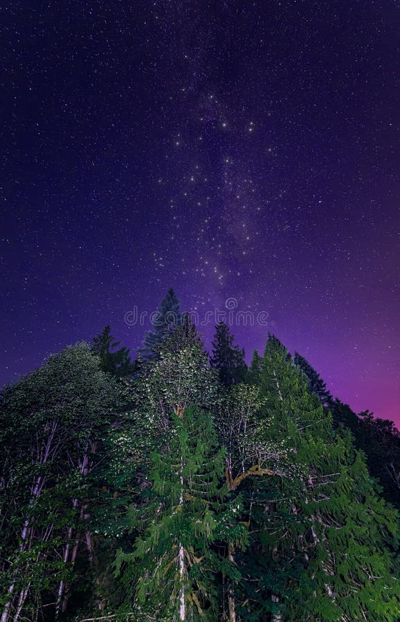 Trees with Milky Way stock image. Image of kamloops, light - 33426613