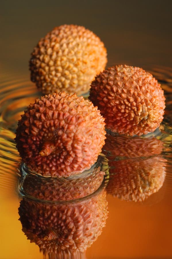 Litchi #1 stock photo. Image of water, exotic, tasty, drop - 1910250