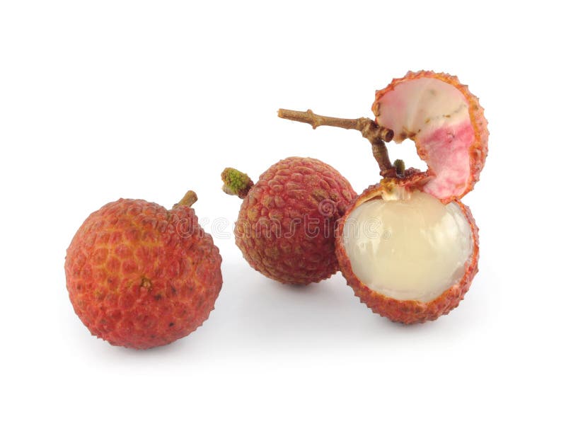 Lychee fruit stock photo. Image of circle, delicious - 11963754