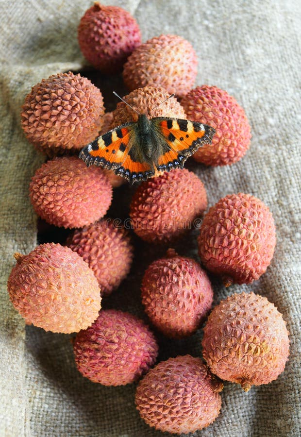 Litchi stock photo. Image of eating, fresh, insect, round - 13403754