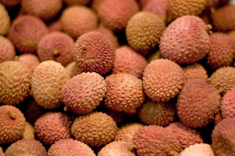 Litchi stock photo. Image of fleshy, asia, water, summer - 15249696