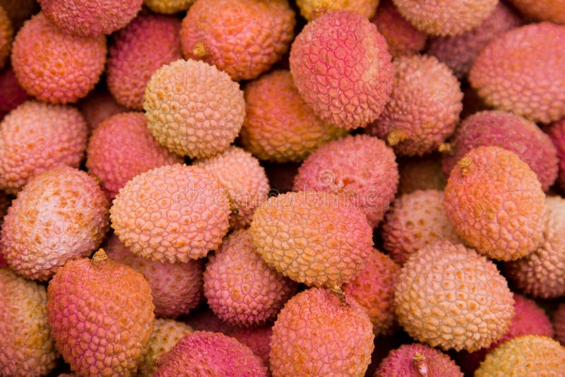 Litchi stock afbeelding. Image of lychee, plantaardig - 19154071