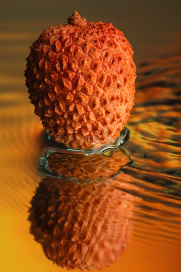 Litchi #5 stock photo. Image of reflection, brown, drop - 1914836