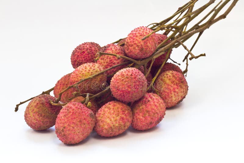 Litchi stock photo. Image of lichee, ingredient, health - 57786344