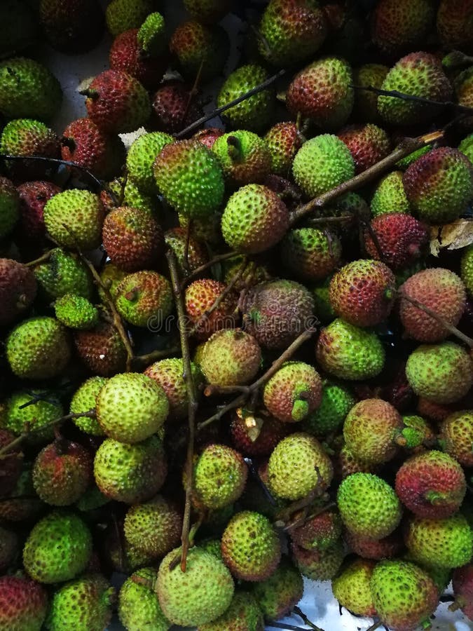 Litchi stock photo. Image of closeup, litchi, fruits - 92892842