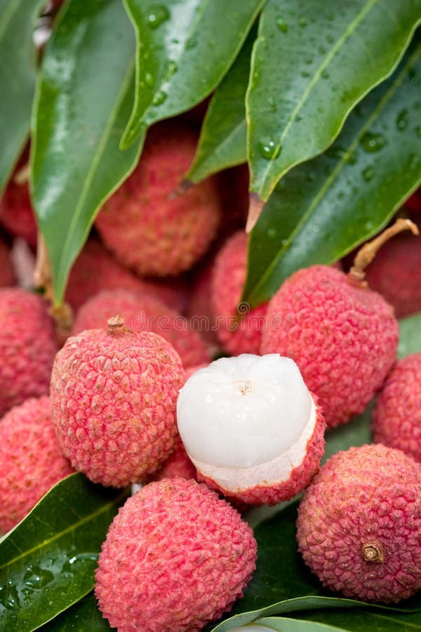 Litchi fruits stock image. Image of halves, nutrition - 17476031