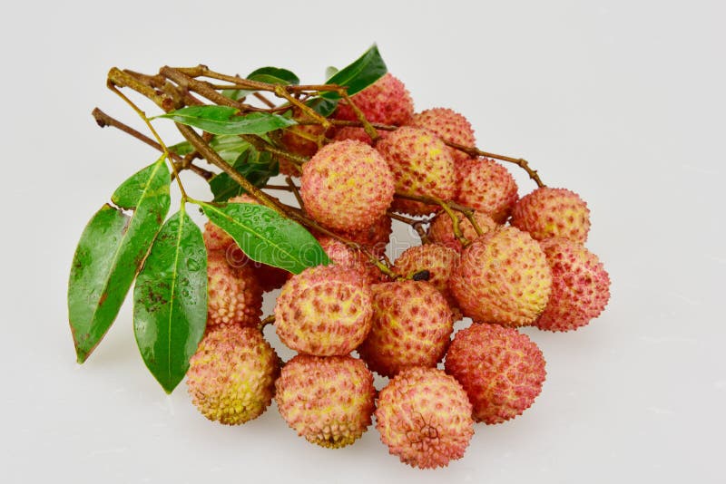 Litchi fruits stock photo. Image of plant, crops, pulp - 54858068