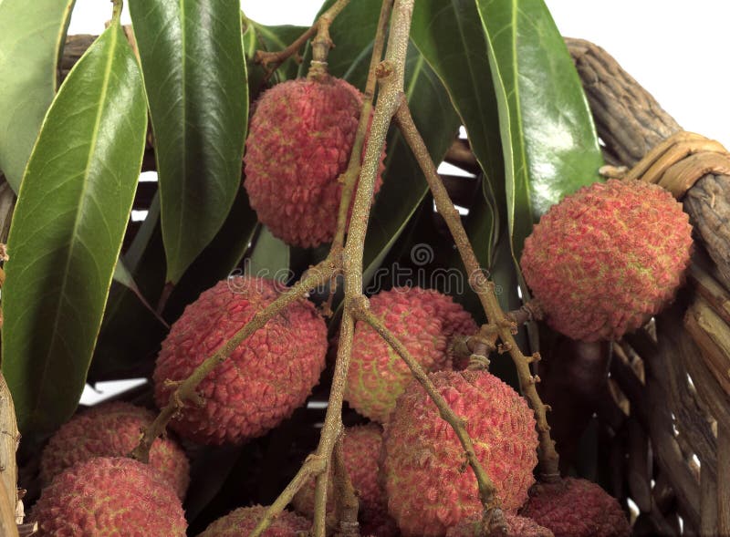 LITCHI or LITCHEE Litchi Sinensis in a BASKET Stock Photo - Image of ...