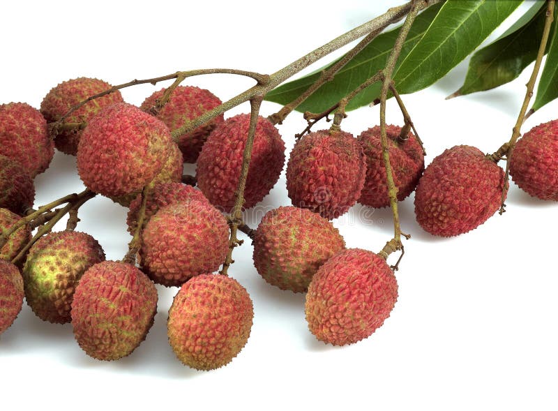 Litchi or Litchee, Litchi Sinensis, Exotic Fruits Against White ...