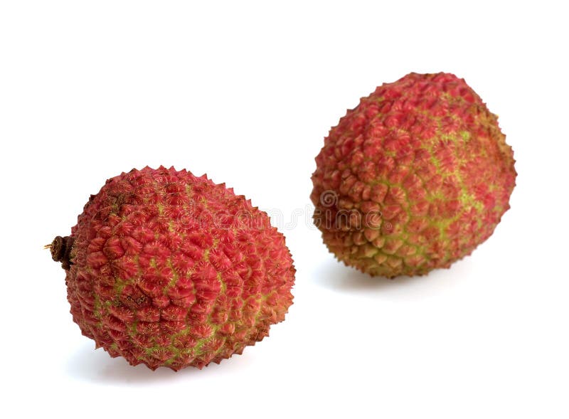 LITCHI stock photo. Image of sinensis, food, life, inside - 170505588