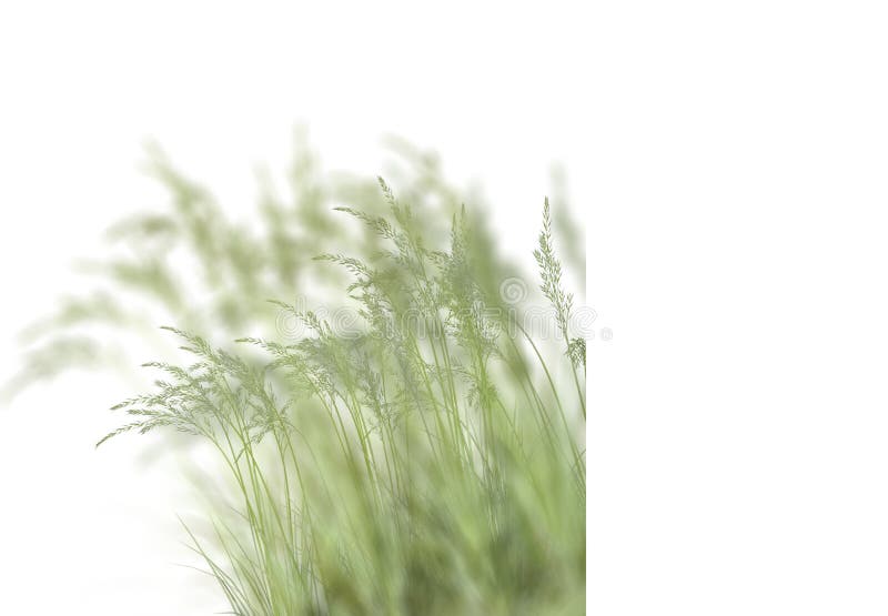 1,500 Grass Overlay Stock Photos - Free & Royalty-Free Stock Photos ...