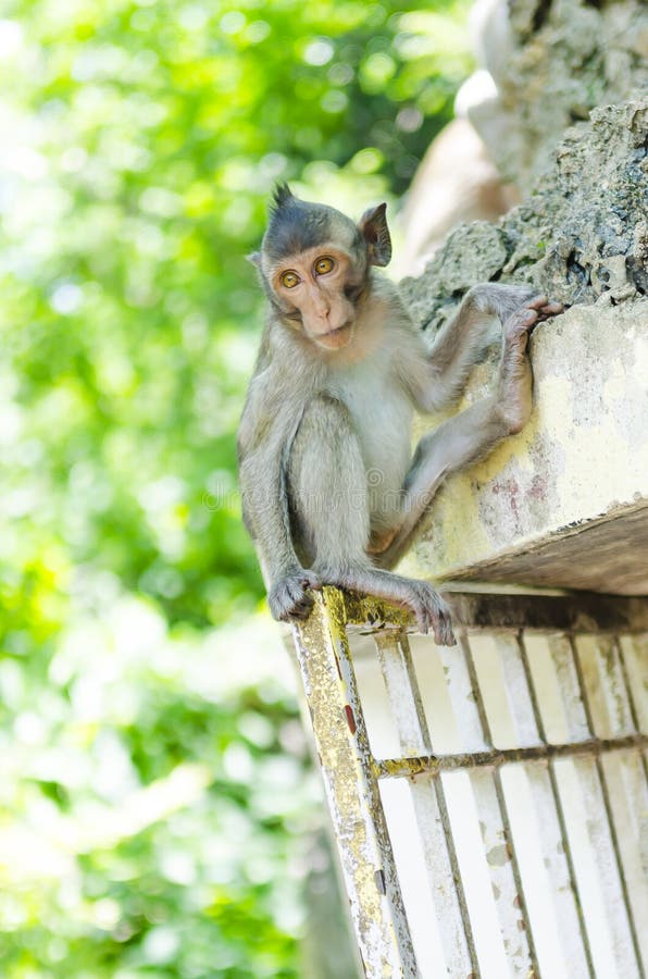 Liten Stygg Santa Pojke I Den Utomhus- Vintern Fotografering för ...