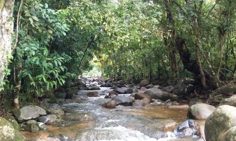 Liten vik i djungeln arkivfoto. Bild av vatten, minne - 123097426