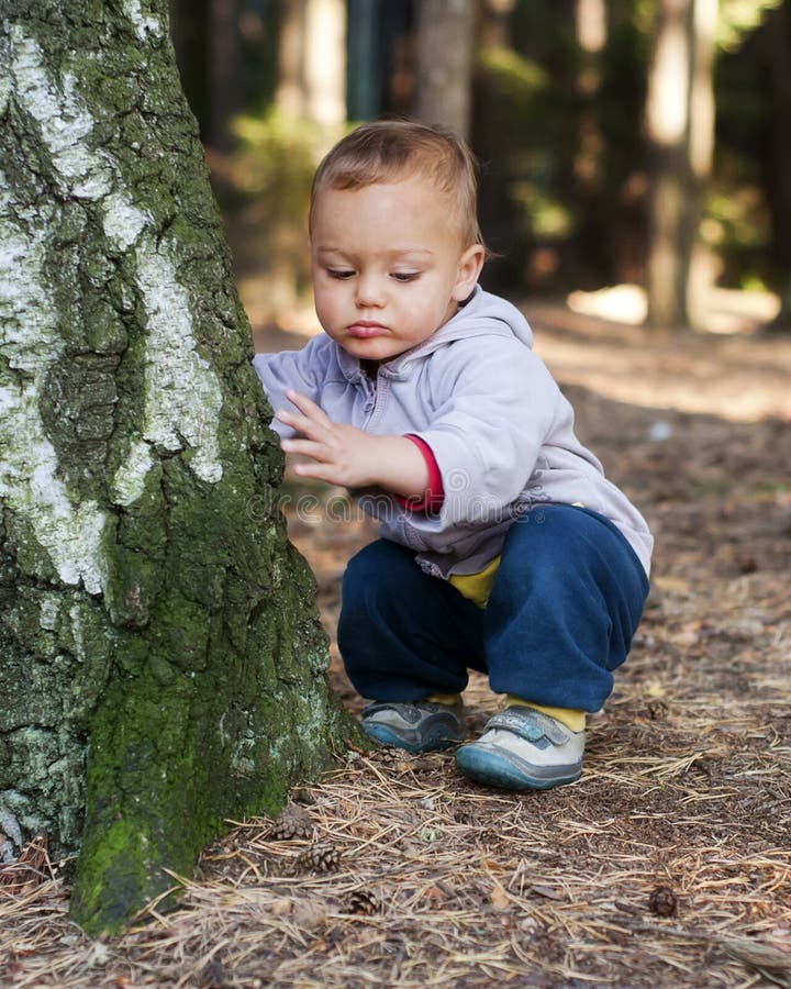 Litet barn i skog arkivfoto. Bild av spelrum, luta, krämande - 29274674