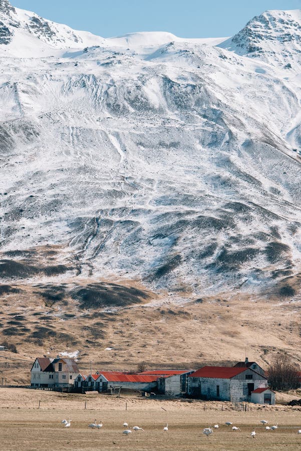 Litet Hus Framme Av Ett Berg I Island Arkivfoto - Bild av sten ...