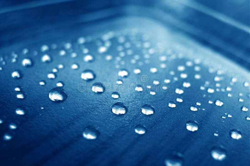 Liten vattenorm fotografering för bildbyråer. Bild av krullat - 79497613