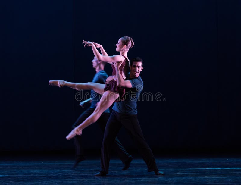 Lithe Bird-Classical Ballet `Austen Collection` Editorial Stock Photo ...