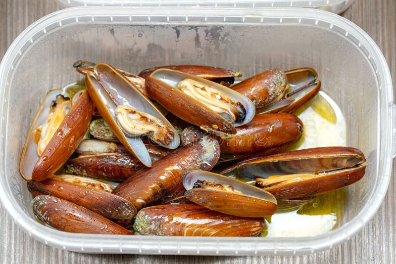 Lithophaga Date stock photo. Image of away, date, shell - 204298048