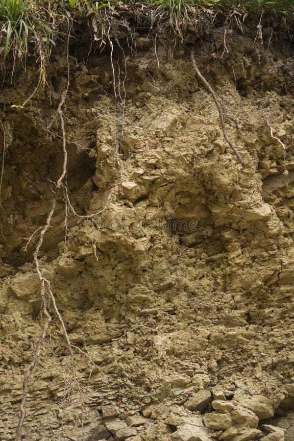 Lithosol soil stock image. Image of stone, soil, rock - 222426373