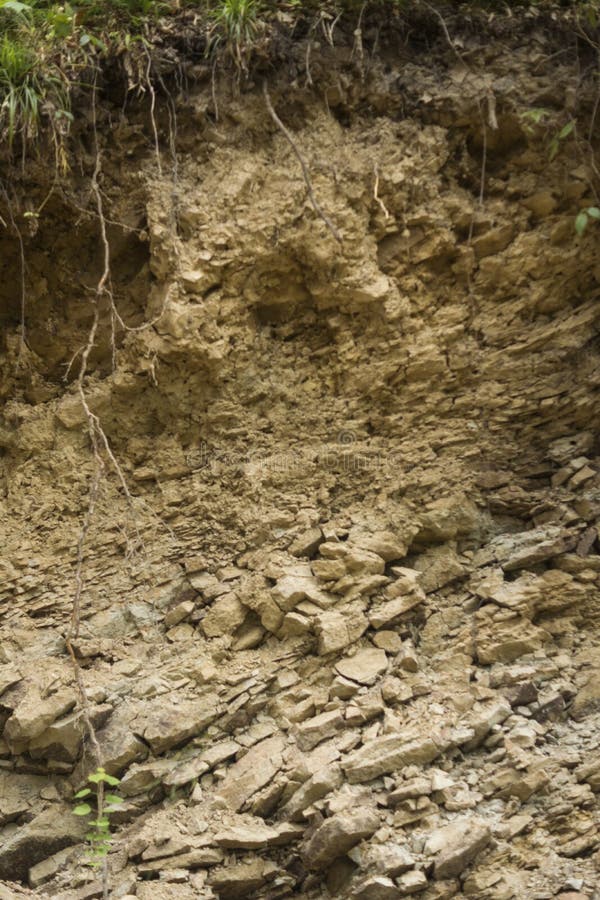 Lithosol soil stock image. Image of stone, soil, rock - 222426373