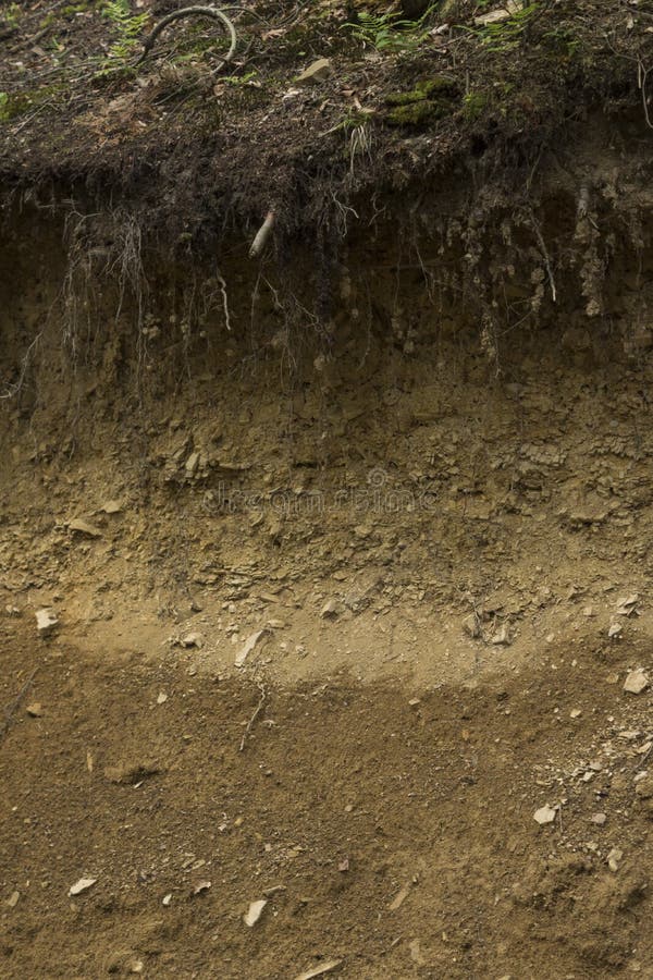 Lithosol soil stock image. Image of pedology, hills - 222426319