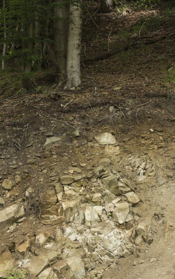 Lithosol soil stock photo. Image of lithosol, stone - 222426332