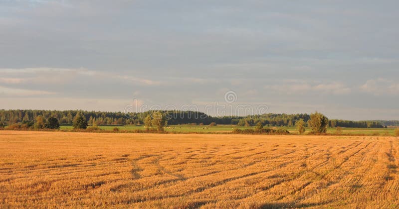 Lithuanian Autumn Landscape Stock Image - Image of orange, lithuanian ...