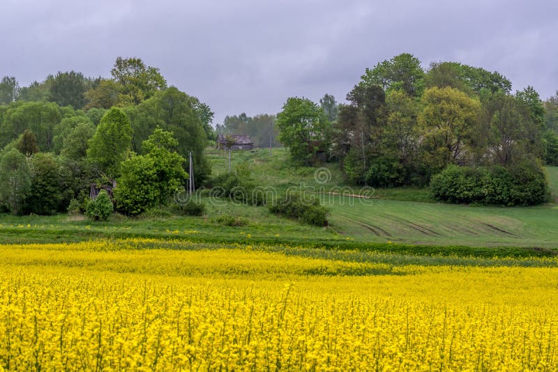 Lithuanian countryside stock image. Image of country - 61507727