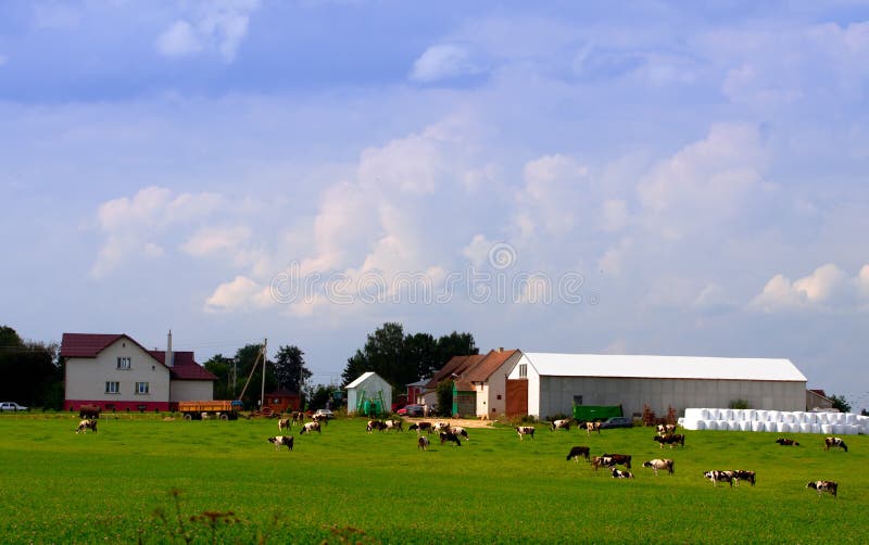 Lithuanian Farmer S Homestead Stock Image - Image of clouds, lithuania ...