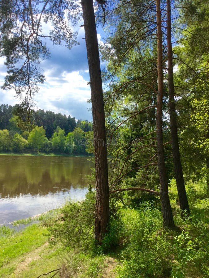 Lithuanian harmony. stock photo. Image of river, biggest - 71133266