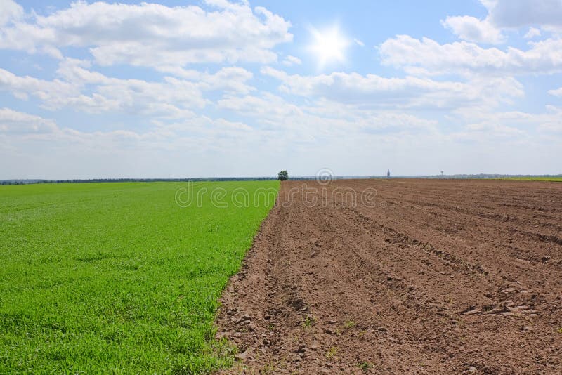 Lithuanian Horticulture Fields Stock Image - Image of rural, scene ...