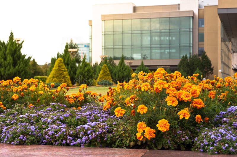 Lithuanian Parliament Buildings Stock Image - Image of city, modern ...