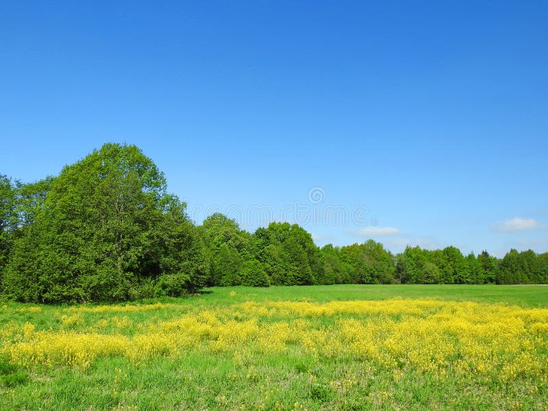 Lithuanian Spring Landscape Stock Image - Image of lithuania ...