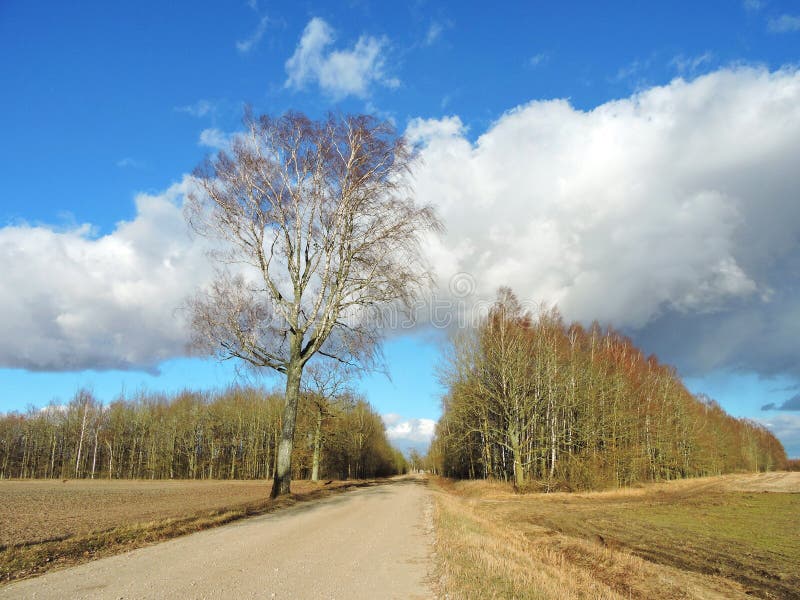Lithuanian Spring Landscape Stock Photo - Image of road, cloudy: 86732822