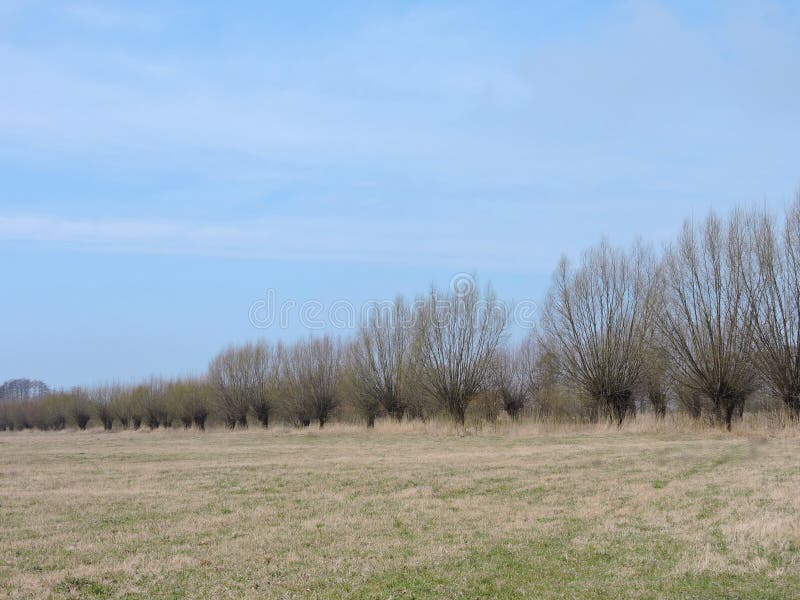 Lithuanian Spring Landscape Stock Image - Image of nice, colors: 52064701