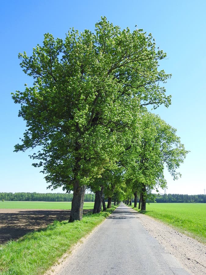 Lithuanian Spring Landscape Stock Image - Image of grass, field: 92717571