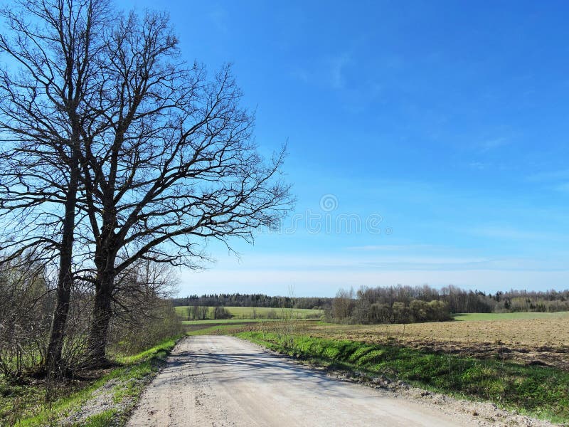 Lithuanian Spring Landscape Stock Image - Image of trees, lithuania ...