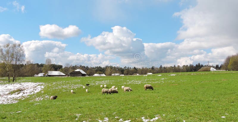 Lithuanian Spring Landscape Stock Image - Image of view, white: 91486747