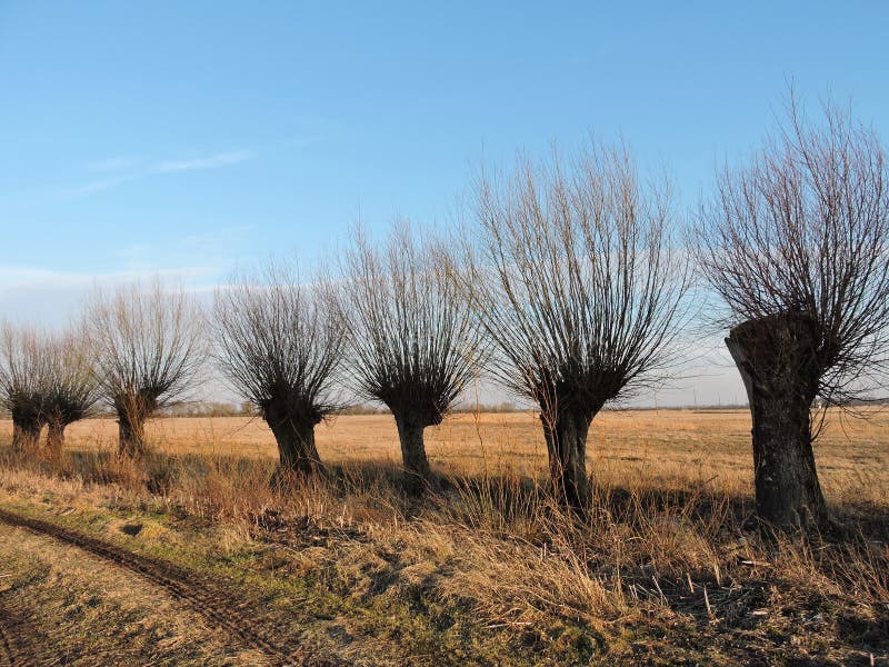 Lithuanian Spring Landscape Stock Photo - Image of spring, field: 52161842