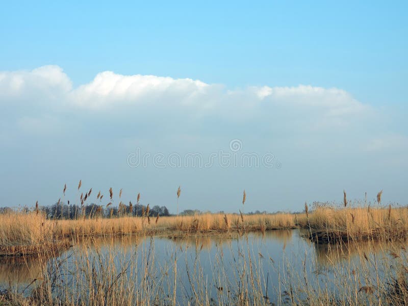 Lithuanian Spring Landscape Stock Image - Image of beautiful, clouds ...