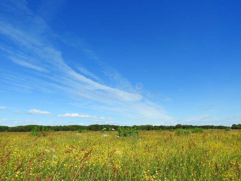 Lithuanian Summer Landscape Stock Image - Image of colorful, flower ...