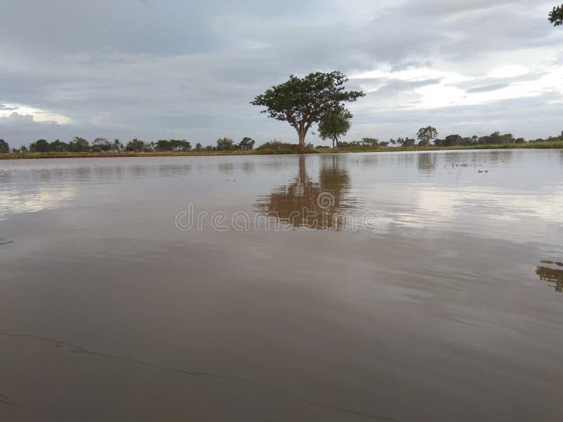 Litle beach in village stock image. Image of shore, tree - 203910461