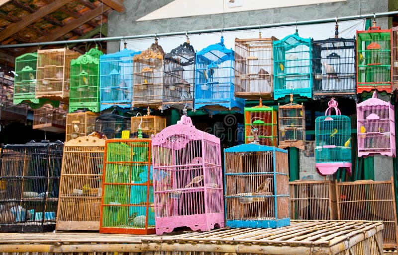 Litle Birds in the Cage. Java, Indonesia Stock Photo - Image of entry ...