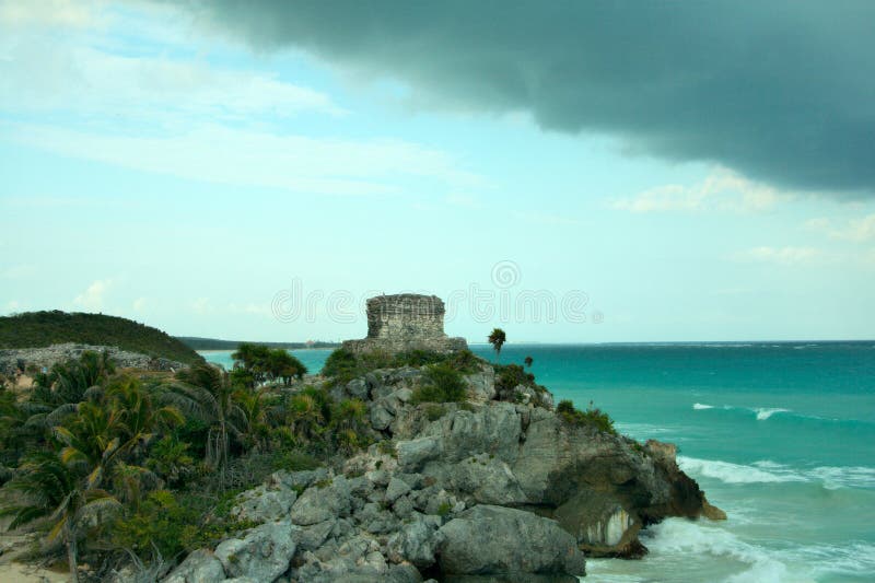 Litoral de México foto de stock. Imagem de plantas, palma - 4784234