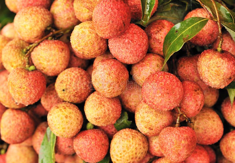 Litschi chinensis stockbild. Bild von markt, gelb, frisch - 28687491